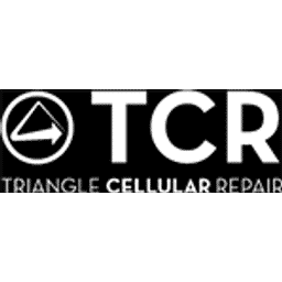 Triangle Cell Repair