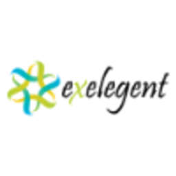 Exelegent - Crunchbase Company Profile & Funding