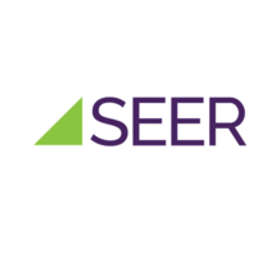 Seer Analytics - Crunchbase Company Profile & Funding