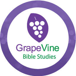 Grapevine Studies - Crunchbase Company Profile & Funding