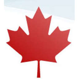 Insight Development - News & Analysis