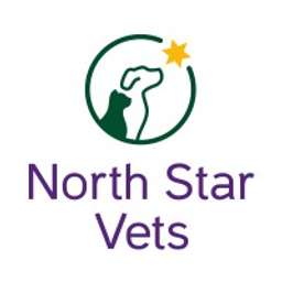 North Star Vets - Tech Details