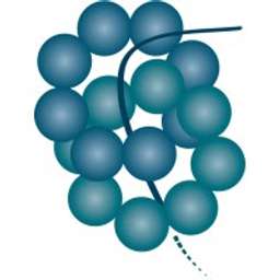 Booster Therapeutics - Crunchbase Company Profile & Funding