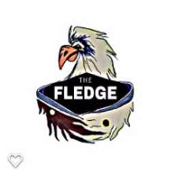 The Fledge - Crunchbase Company Profile & Funding