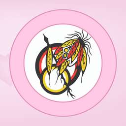 Matawa First Nations Management - Financial Details