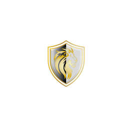 Lions Group Financial - Crunchbase Company Profile & Funding