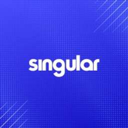 Singular CDN - Crunchbase Company Profile & Funding