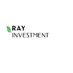 RAY Investment - Financial Details