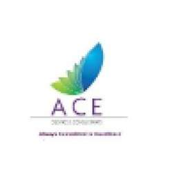 Ace Business Consultants - Crunchbase Company Profile & Funding