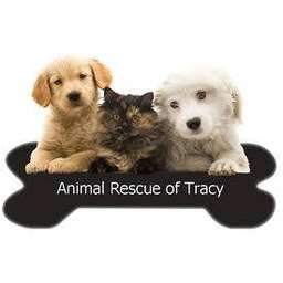 Animal Rescue of Tracy - Crunchbase Company Profile & Funding