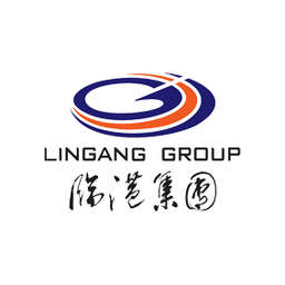 Shanghai Lingang Economic Development - Crunchbase Company Profile ...