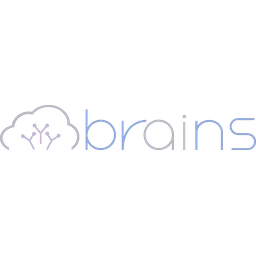 Brains Technology - Crunchbase Company Profile & Funding