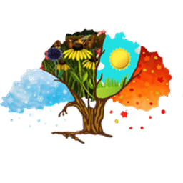 Wise Oak - Crunchbase Company Profile & Funding