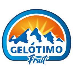 Gelótimo - Crunchbase Company Profile & Funding