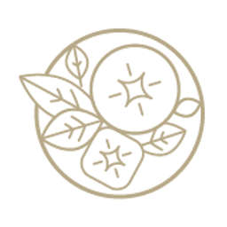 Juniper Life - Crunchbase Company Profile & Funding