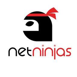 Net Ninjas - Crunchbase Company Profile & Funding