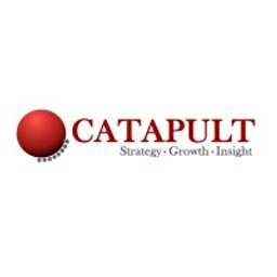Catapult Solutions Group - Crunchbase Company Profile & Funding