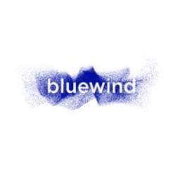 Bluewind - Crunchbase Company Profile & Funding