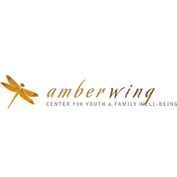 Amberwing - Crunchbase Company Profile & Funding