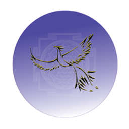 Authentic Autism Solutions - Tech Details