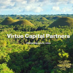 Virtue Capital Partners - Crunchbase Company Profile & Funding