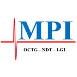 Mega Petroleum Inspection - Tech Details