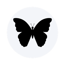 Monarrch - Crunchbase Company Profile & Funding