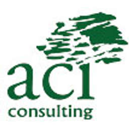 aci consulting