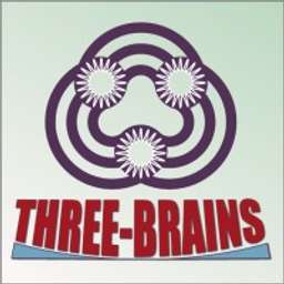 Three-Brains - Crunchbase Company Profile & Funding