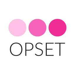 Opset - Crunchbase Company Profile & Funding