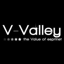 V-Valley - Crunchbase Company Profile & Funding