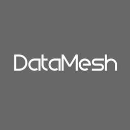 DataMesh - Crunchbase Company Profile & Funding
