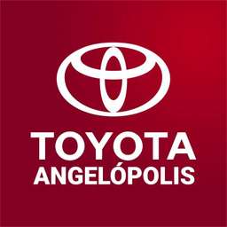 Toyota Angelopolis - Crunchbase Company Profile & Funding