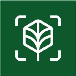 Working Trees - Crunchbase Company Profile & Funding