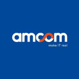 AMcom Information Systems - Financial Details