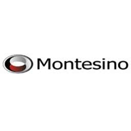 Montesino Associates - Crunchbase Company Profile & Funding