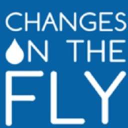 Changes On The Fly - Crunchbase Company Profile & Funding