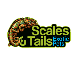 Scales & Tails Exotic Pets