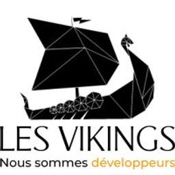 Les Vikings - Tech Details