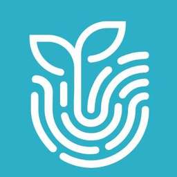 The Touch Agency - Crunchbase Company Profile & Funding