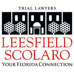 Leesfield Scolaro - Crunchbase Company Profile & Funding