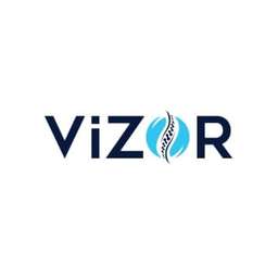 Vizor - Crunchbase Company Profile & Funding