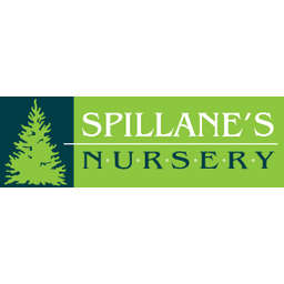 Spillane's Nursery and Landscape - Crunchbase Company Profile & Funding