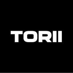 Torii Studio - Crunchbase Company Profile & Funding