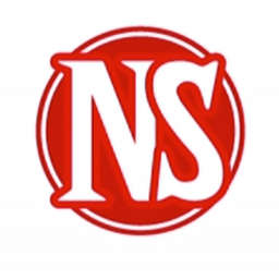 NS Japan - Crunchbase Company Profile & Funding