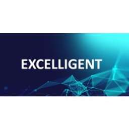 Excelligent - Crunchbase Company Profile & Funding