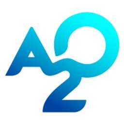 A2O Advanced Materials - Crunchbase Company Profile & Funding