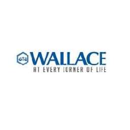 The Wallace Group - Crunchbase Company Profile & Funding