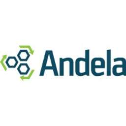 Andela - Crunchbase Company Profile & Funding