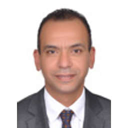 Ahmed Hamada - CEO @ ITWORX Education - Crunchbase Person Profile